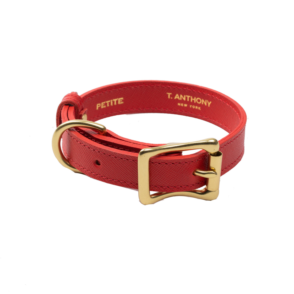 DOG COLLAR - T. Anthony